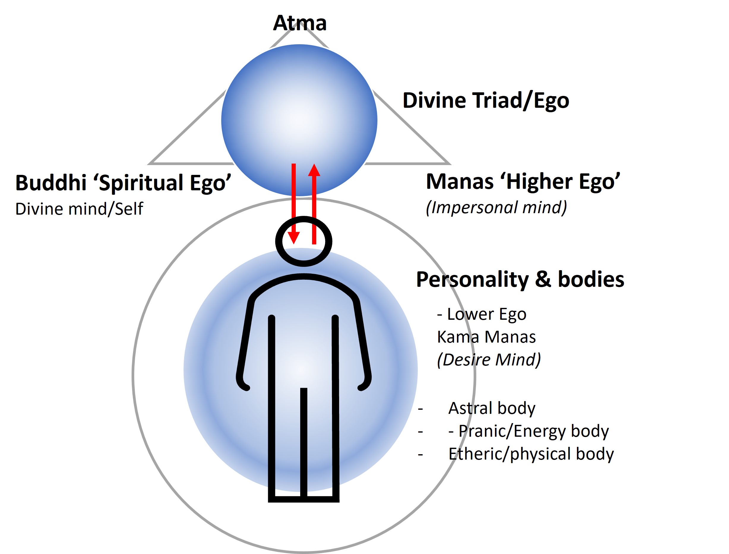 Ergo, the Ego…. – The Philosopher's Poet